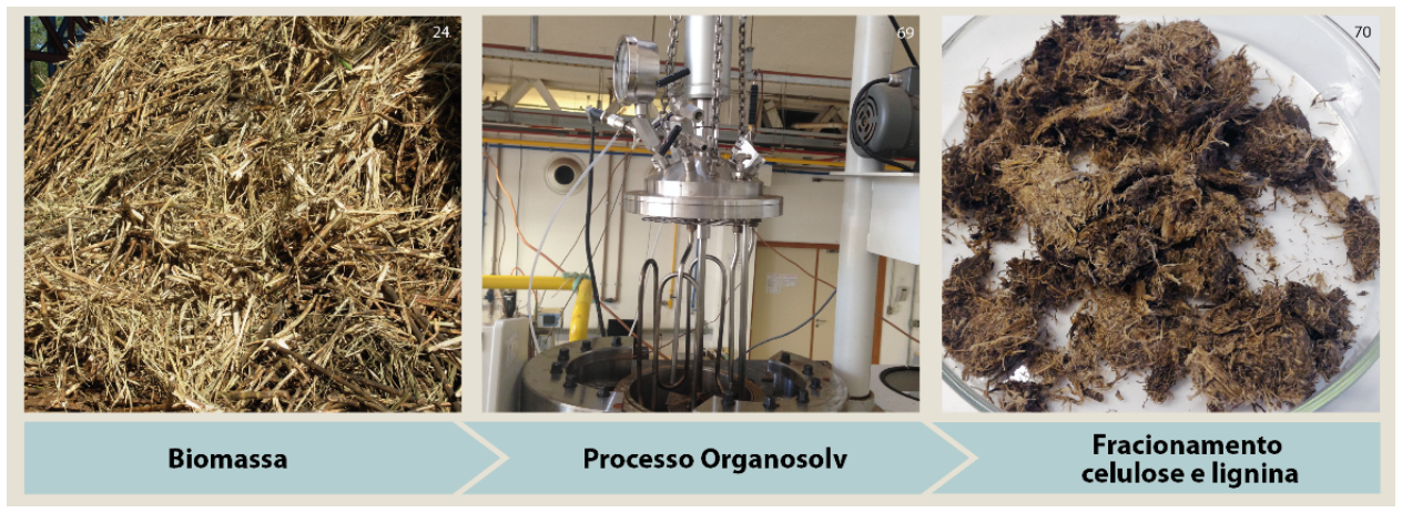 VALORIZAÇÃO DA LIGNINA COMO ANTIOXIDANTE – ISSN 1678-0817 Qualis B2