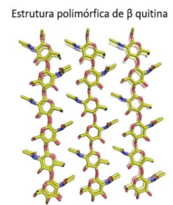 QUITINA E QUITOSANA: UMA REVISÃO SOBRE OS PROCESSOS DE OBTENÇÃO E ...