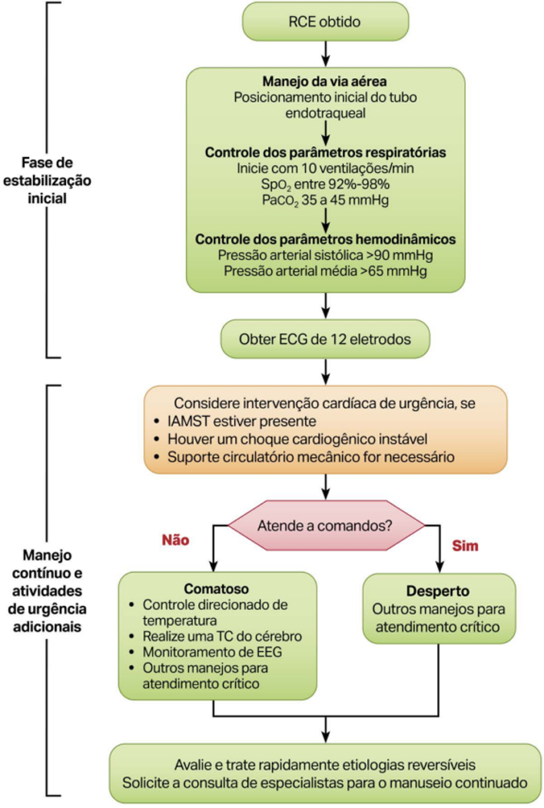 CONHECIMENTO DO ENFERMEIRO NO ATENDIMENTO A PARADA CARDIORRESPIRATÓRIA – ISSN 1678-0817 Qualis B2